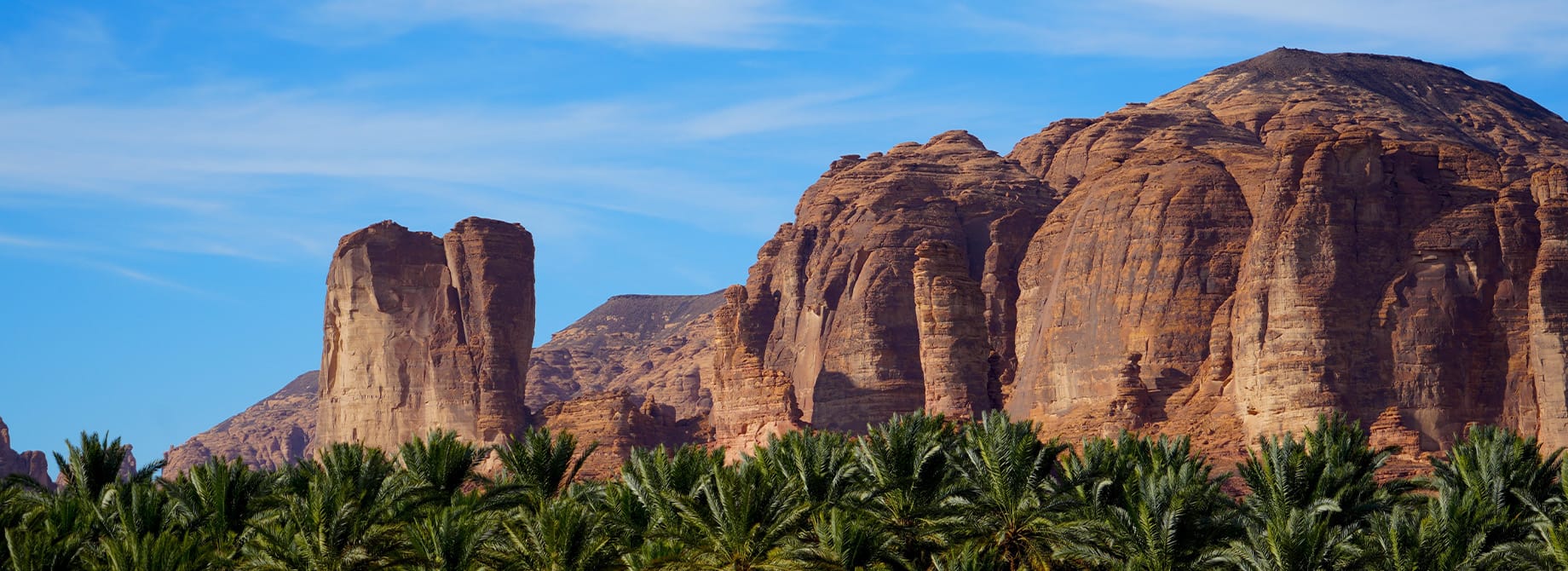 SAUDI GLOMACS - Global Expertise, Local Focus